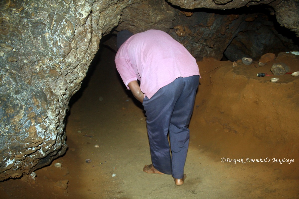 Travel magic: A birder's paradise - Dandeli